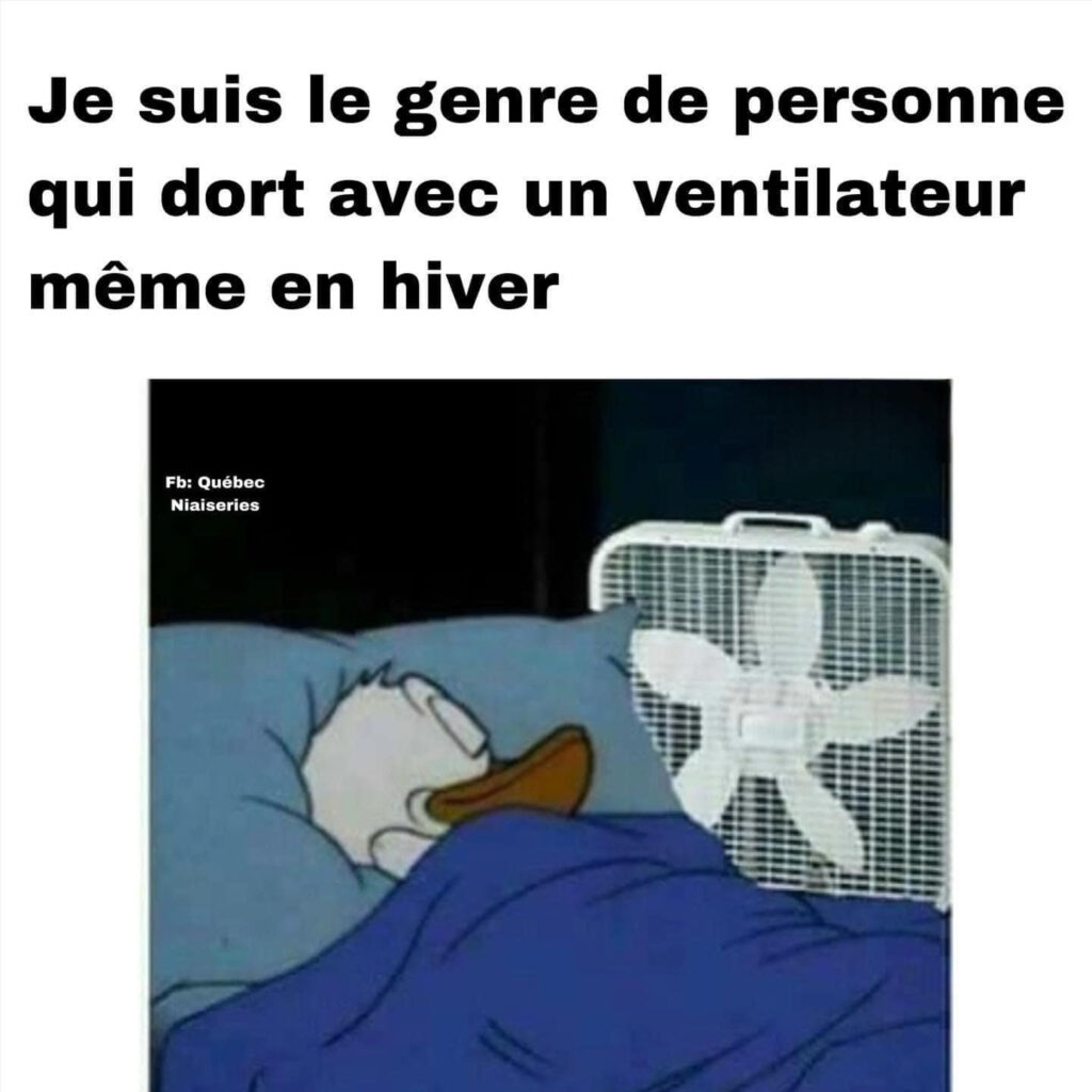 Les meilleurs mèmes au Québec - Drôle et croustillant!