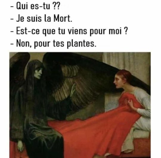 Les meilleurs mèmes au Québec - Drôle et croustillant!